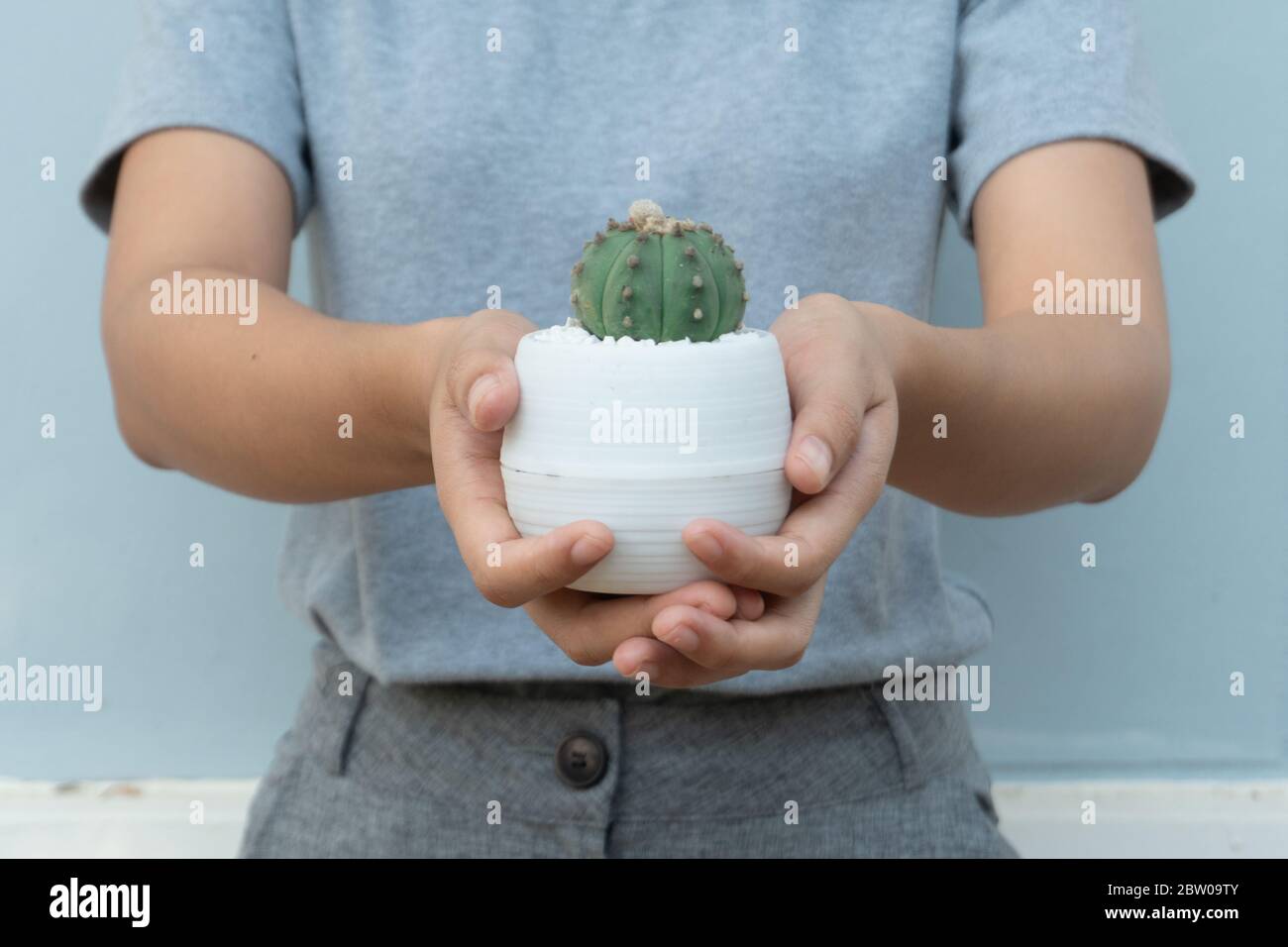 Number tree vector hi-res stock photography and images - Alamy