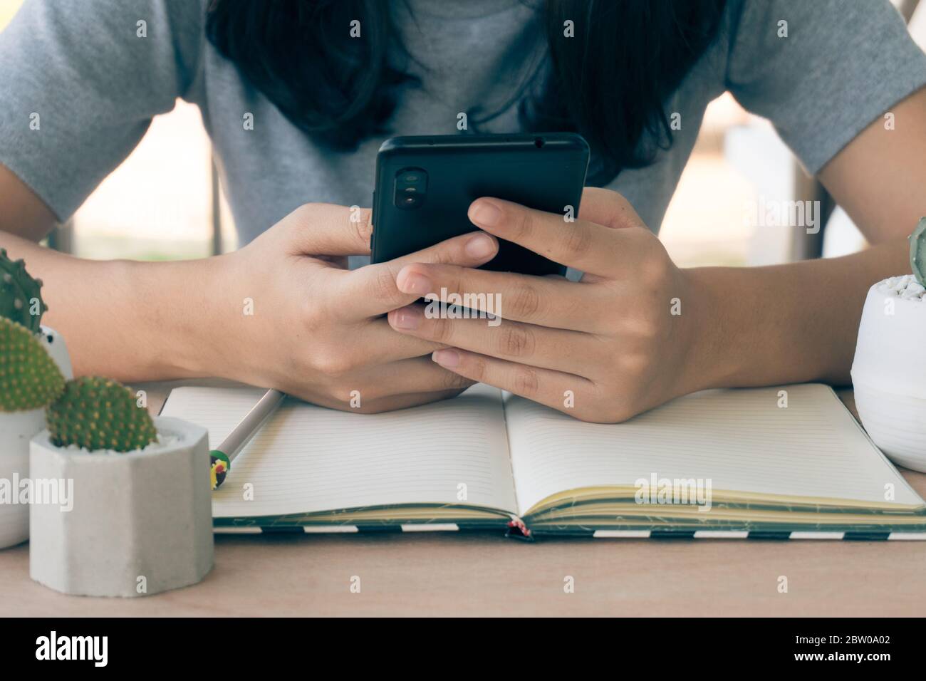 Close up view of a woman Study and care cactus on wood table in cactus ...