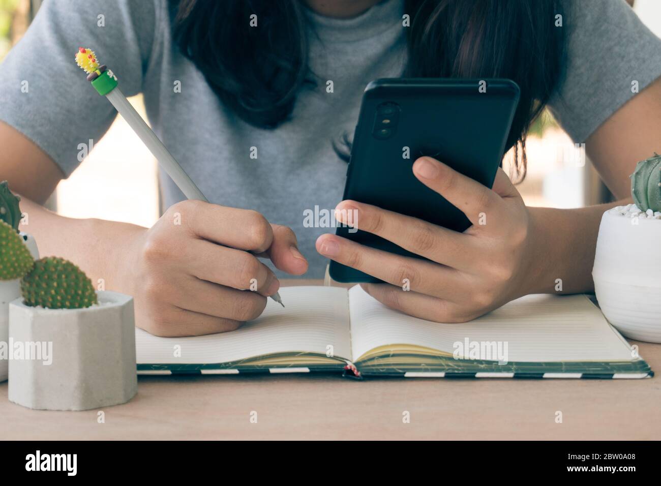 Close up view of a woman Study and care cactus on wood table in cactus ...