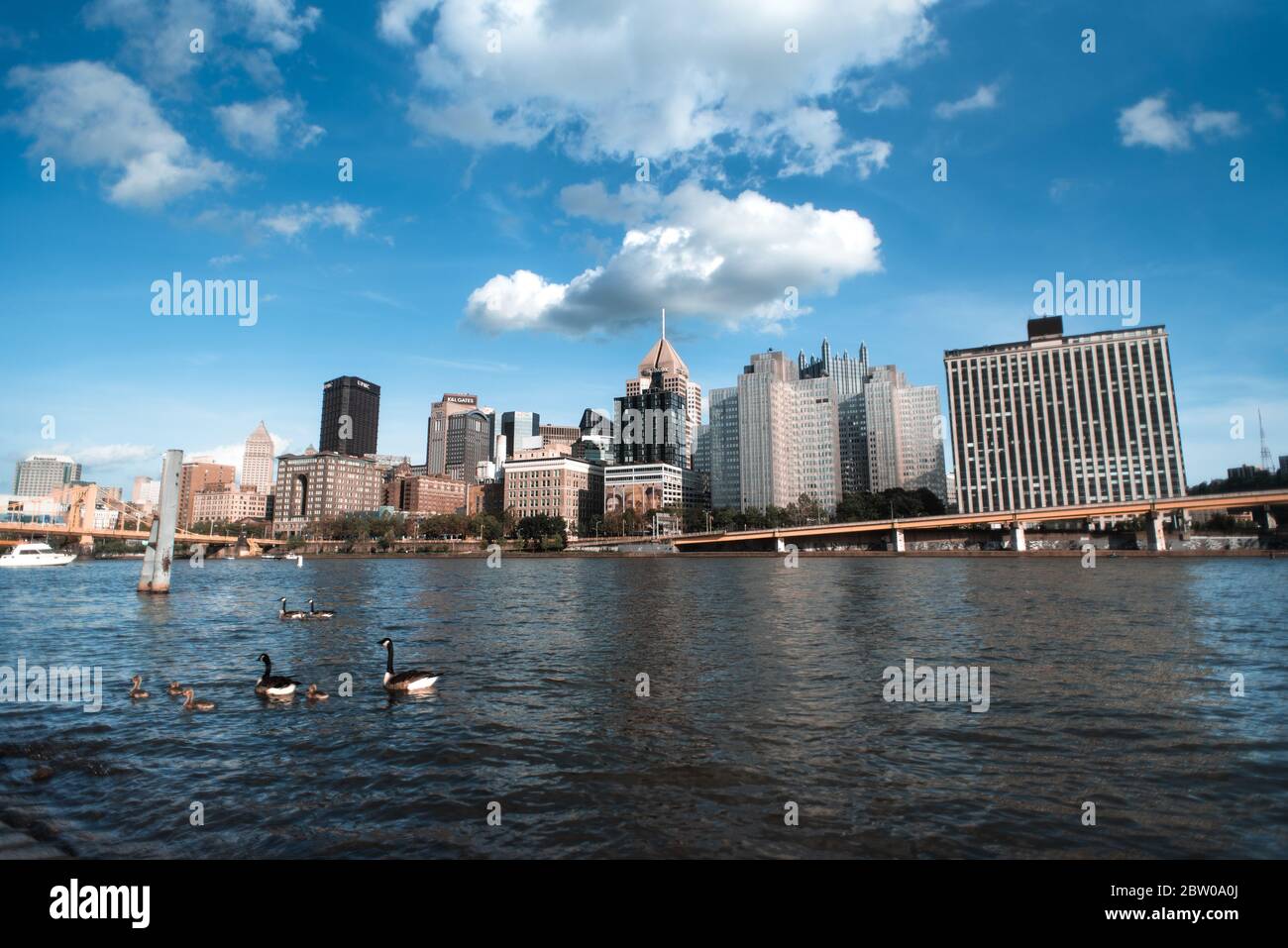 Pittsburgh dippy the dinosaur hi-res stock photography and images - Alamy