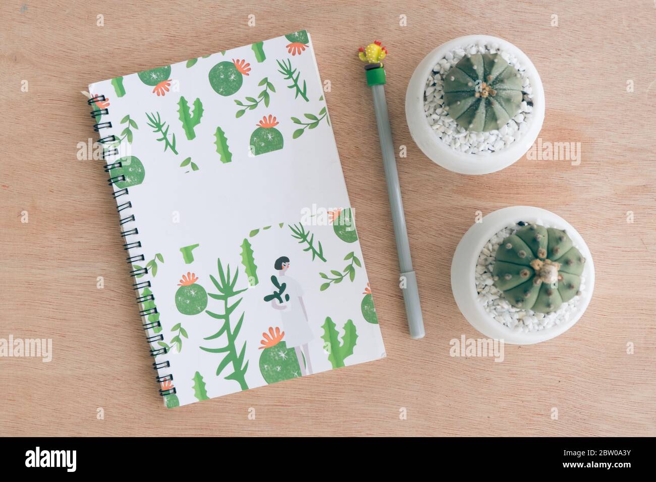 Top view of a Notebook Study and care cactus on wood table in cactus ...