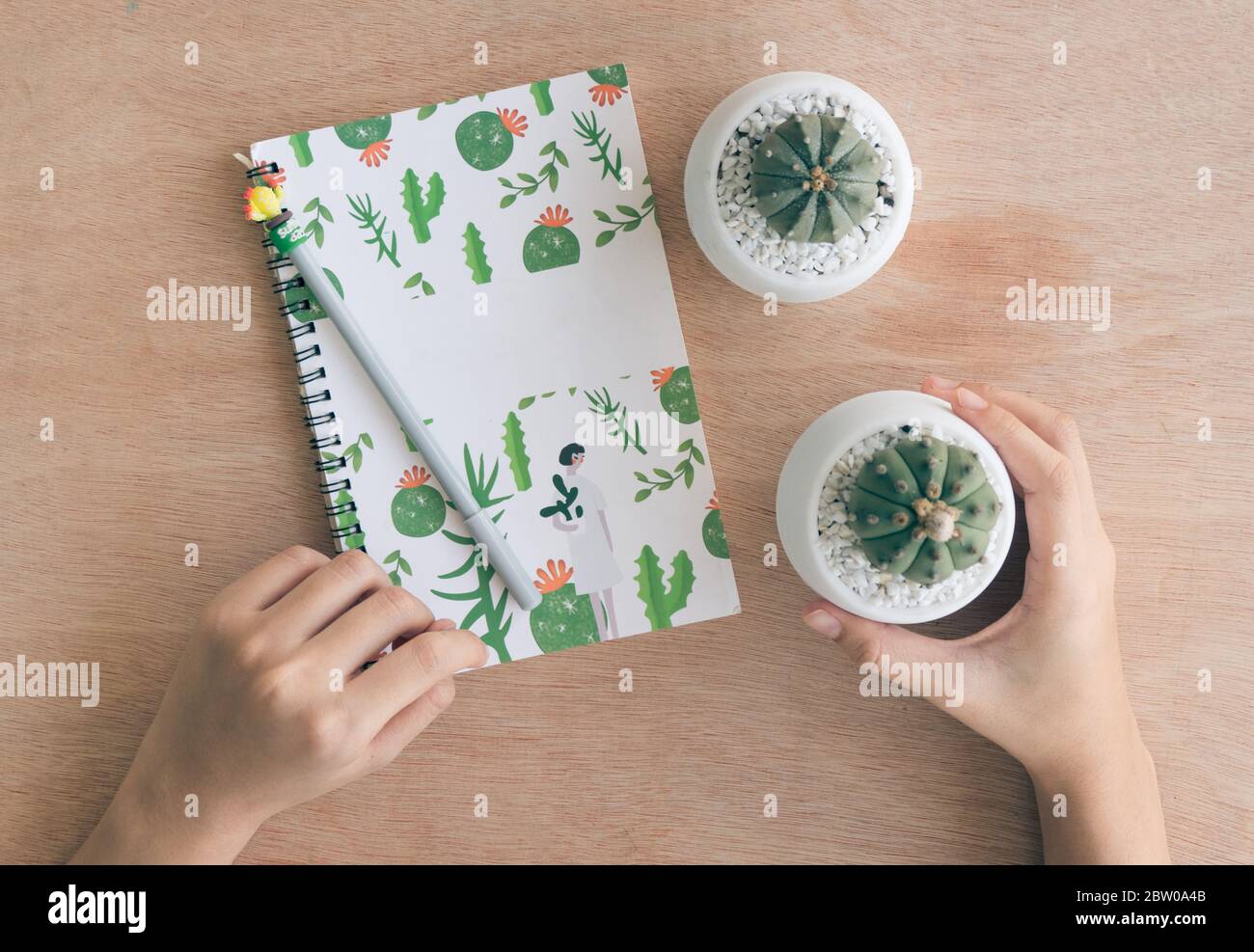 Top view of a Notebook Study and care cactus on wood table in cactus ...