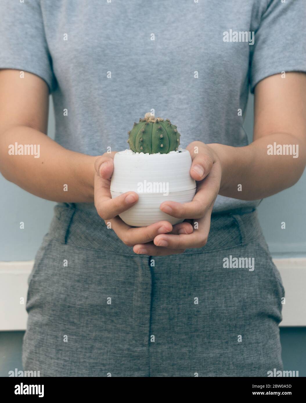 Typography alphabet vector hi-res stock photography and images - Alamy