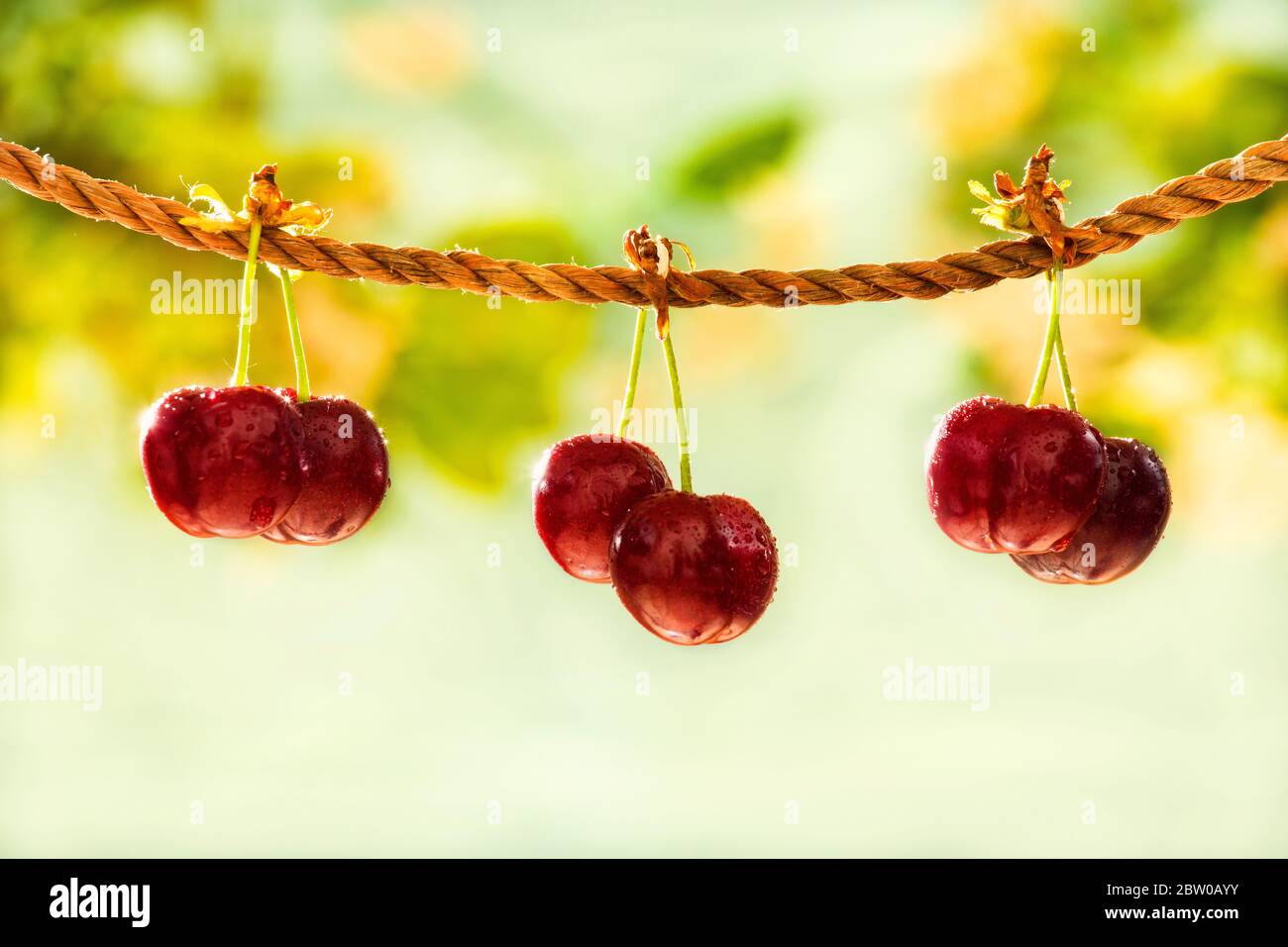 String of fruit hi-res stock photography and images - Alamy