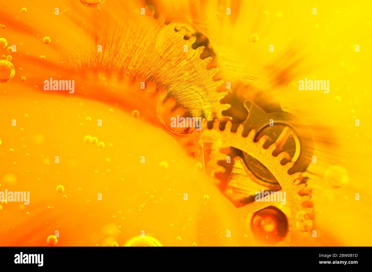 Gears in oil. Oil change in mechanisms, engines, motors. Car service ...