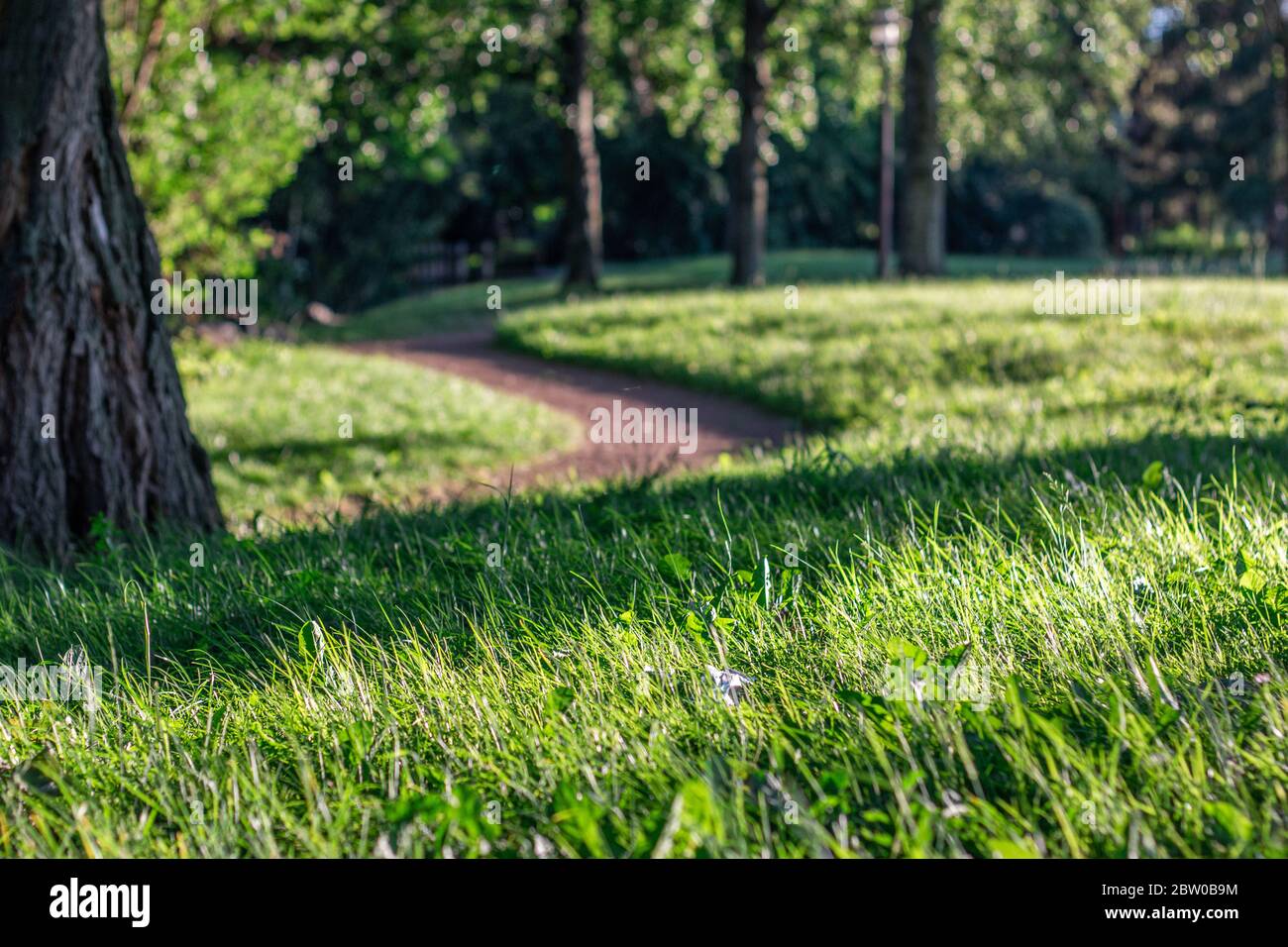 Parque en primavera Stock Photo - Alamy