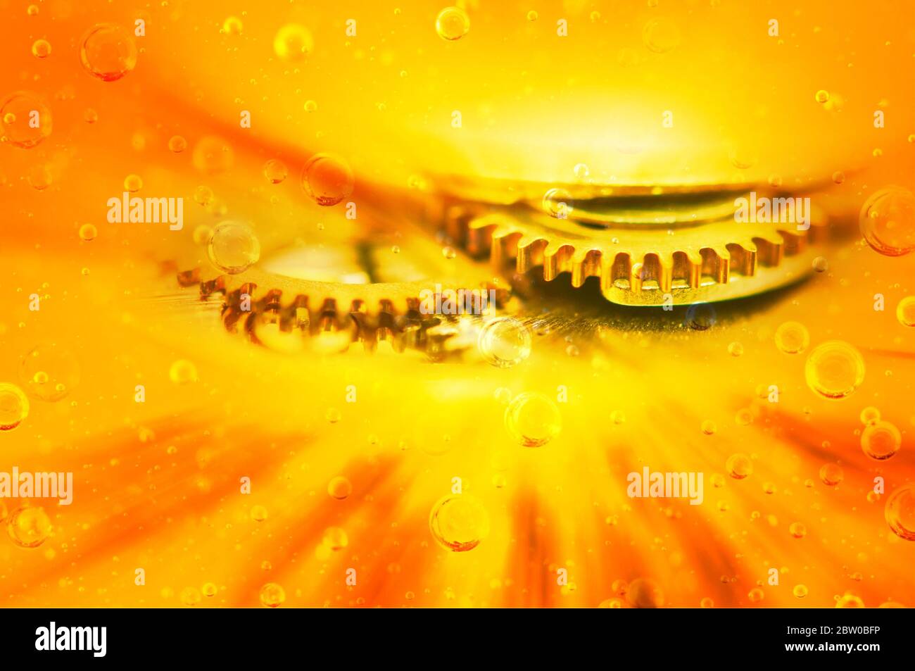 Gears in oil. Oil change in mechanisms, engines, motors. Car service ...