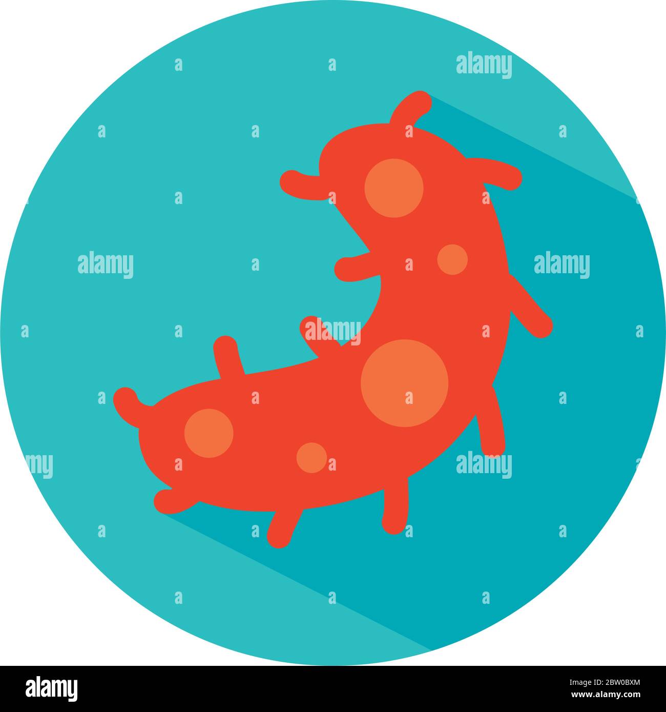 Mrsa microscope Stock Vector Images - Alamy