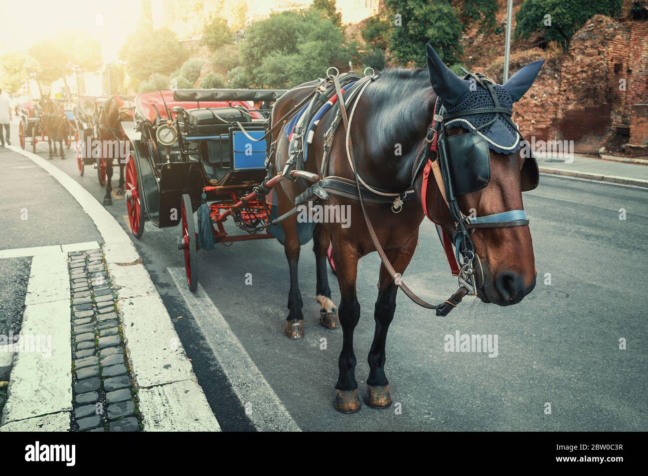 Roman horse carriage hi-res stock photography and images - Alamy