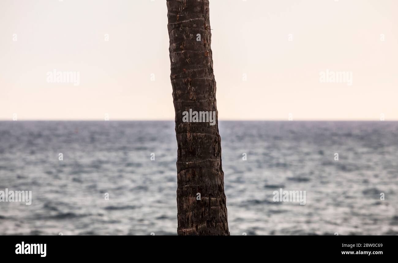 Dead center hi-res stock photography and images - Alamy