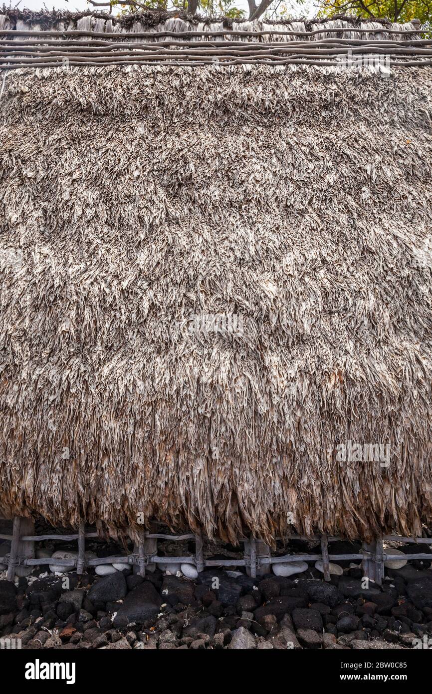 A thatched roof in Pu'uhonua O Hōnaunau National Historical Park ...