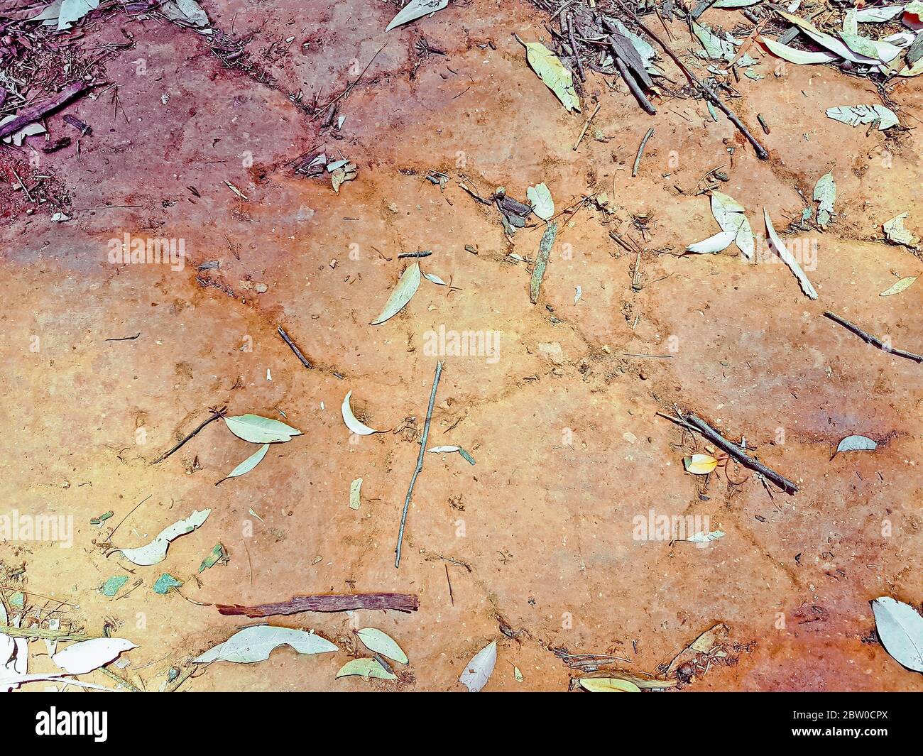 Texture of ferruginous red Ferralsol or laterite soil in Table Mountain ...