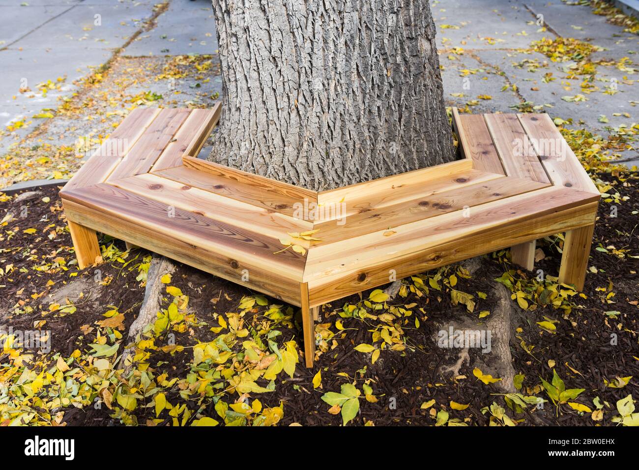 Wooden circular garden bench hi-res stock photography and images - Alamy