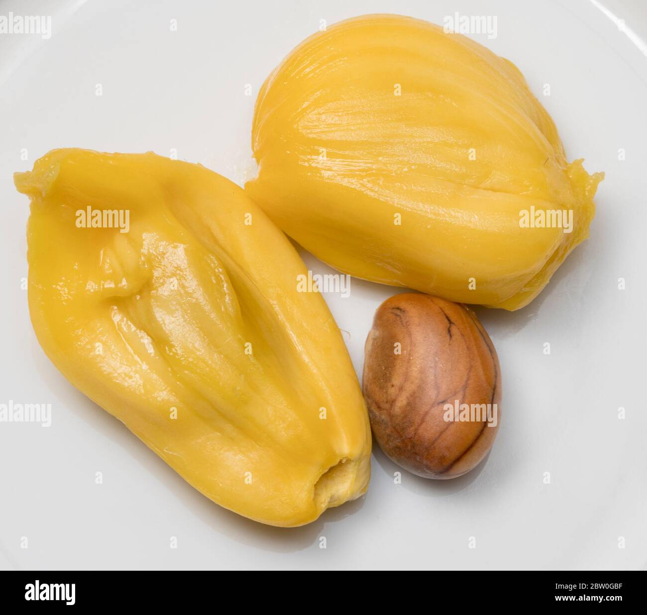 Ripe jackfruit on white background Stock Photo - Alamy