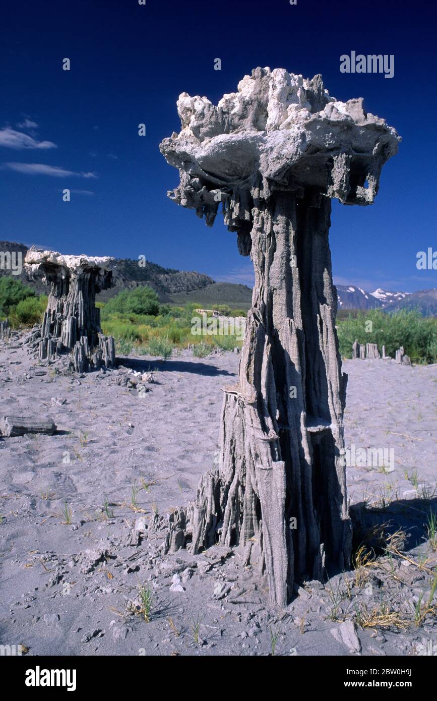 Sand tufa at Navy Beach, Mono Lake State Reserve, Mono Basin National ...