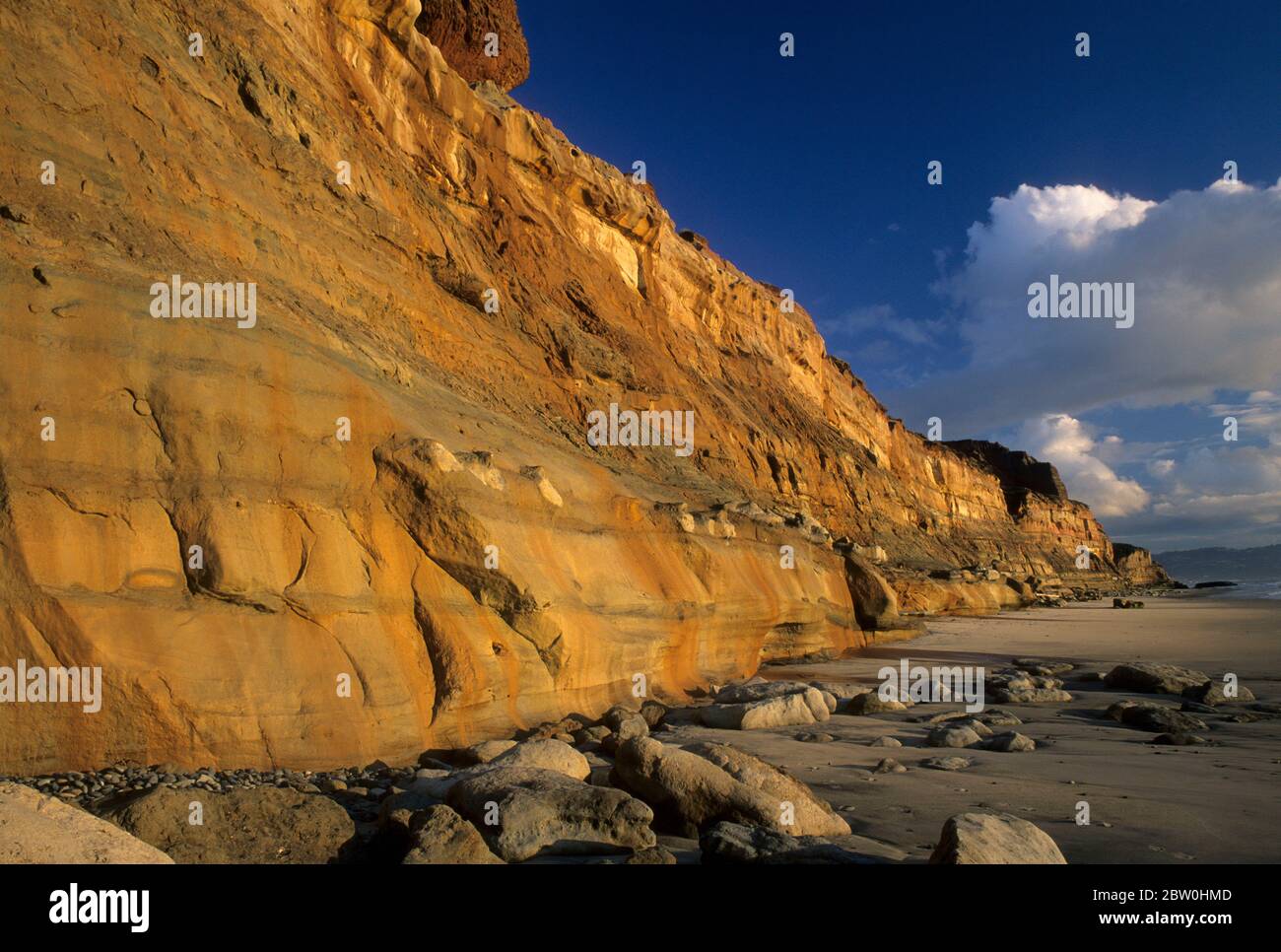 Beach cliffs, Torrey Pines State Reserve, California Stock Photo - Alamy