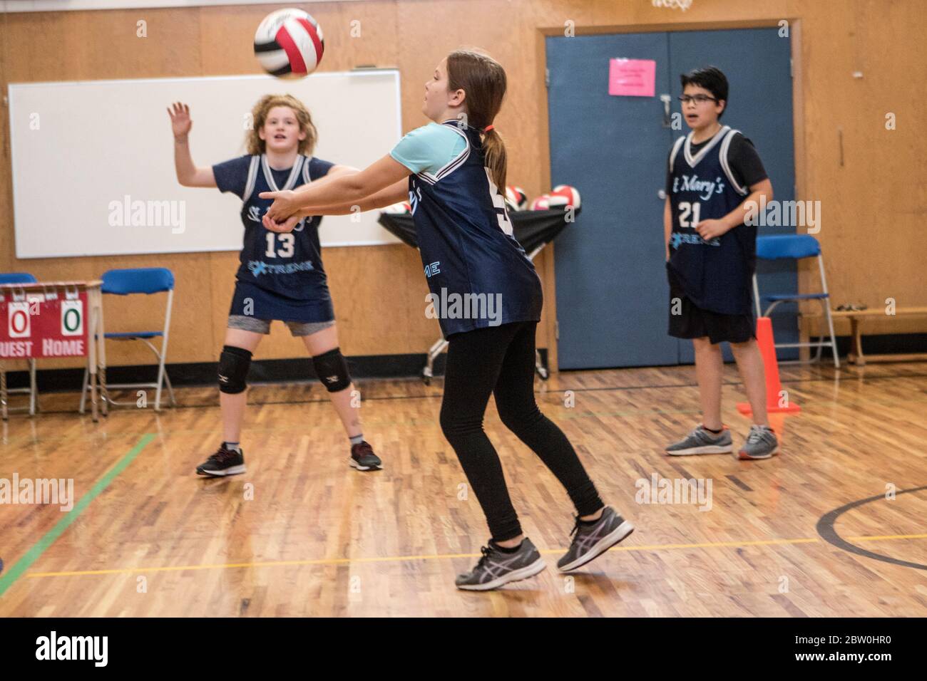 Volleyball player female athlete hi-res stock photography and images ...