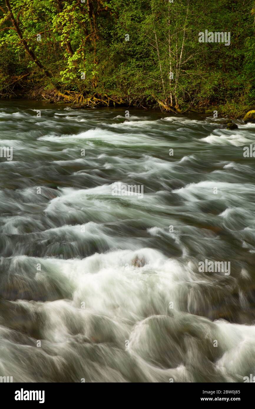 North Santiam River, West Cascades Scenic Byway, Willamette National ...