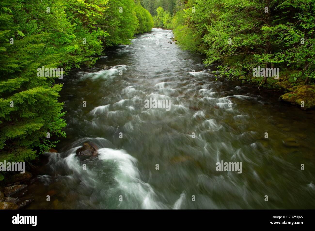 North Santiam River, West Cascades Scenic Byway, Willamette National ...