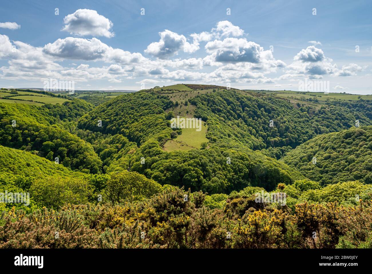 Landscape photo of The Doone Valley In Exmoor National Park Stock Photo ...