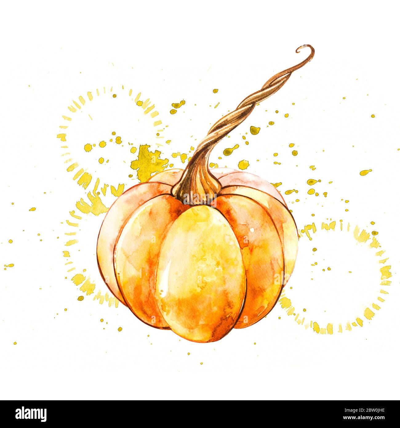 Pumpkin. Hand drawn watercolor painting on white background. Watercolor ...