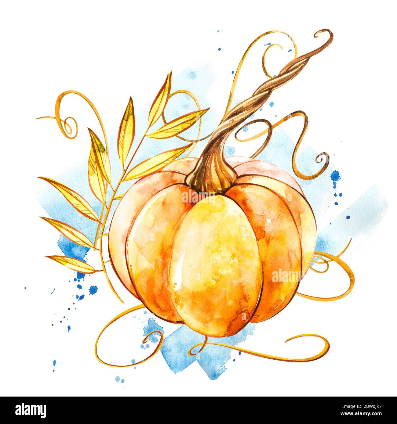 Pumpkin. Hand drawn watercolor painting on white background. Watercolor ...