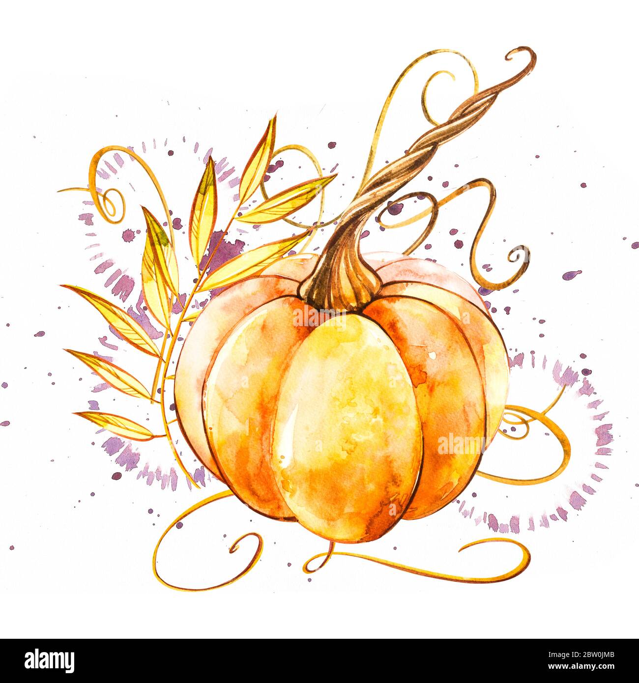 Pumpkin. Hand drawn watercolor painting on white background. Watercolor ...