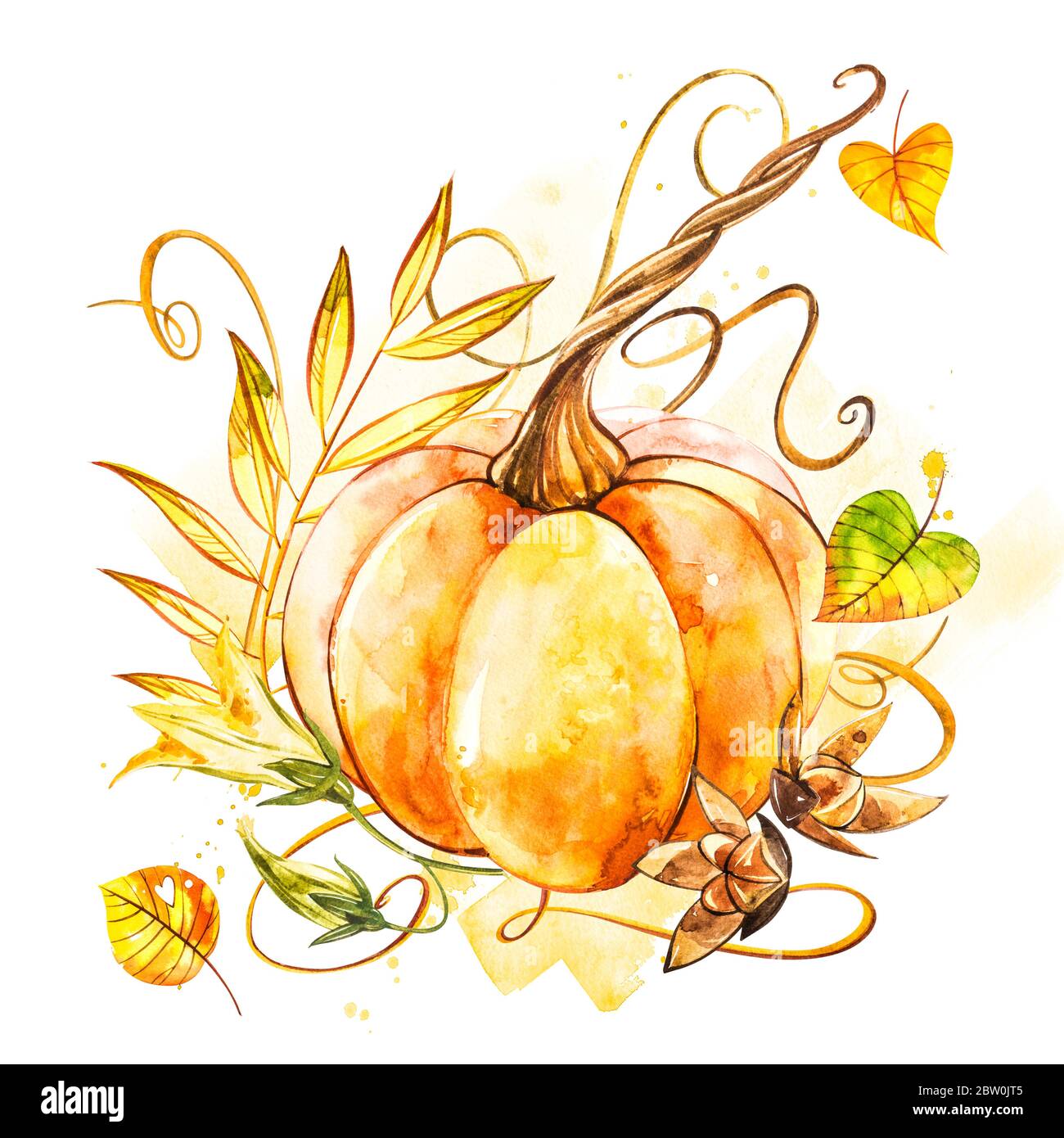 Pumpkin. Hand drawn watercolor painting on white background. Watercolor ...