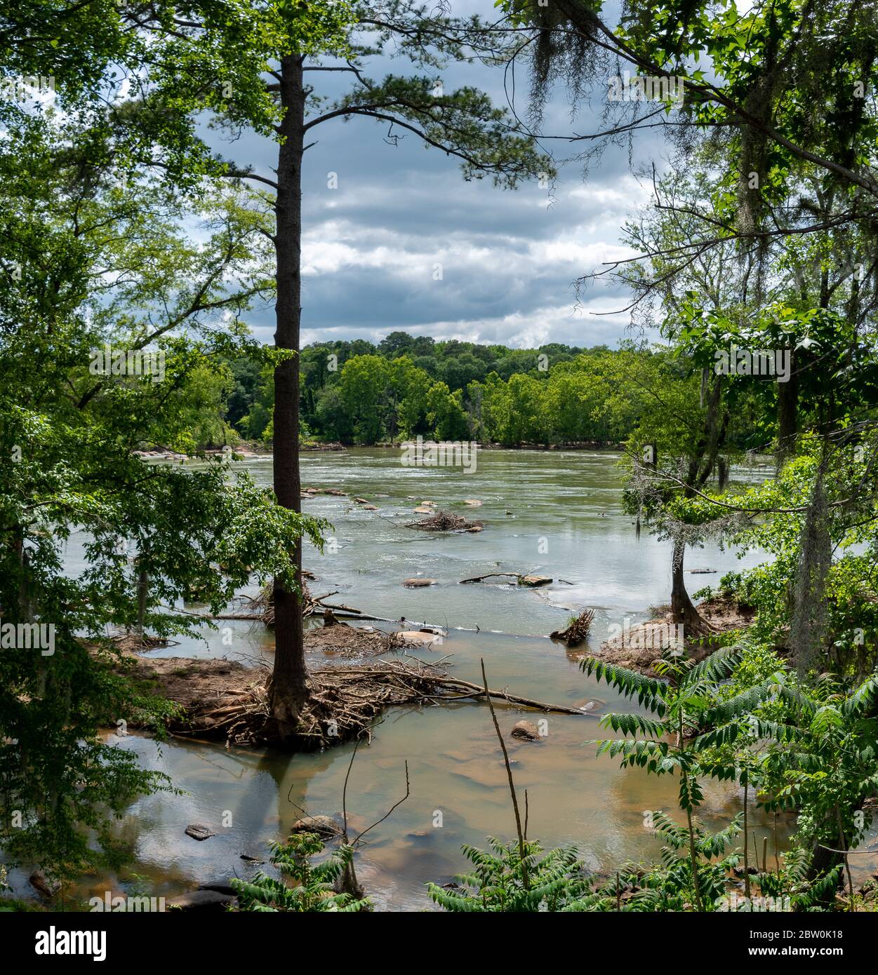 A river bank view of the Broad River with trees taken in Columbia ...