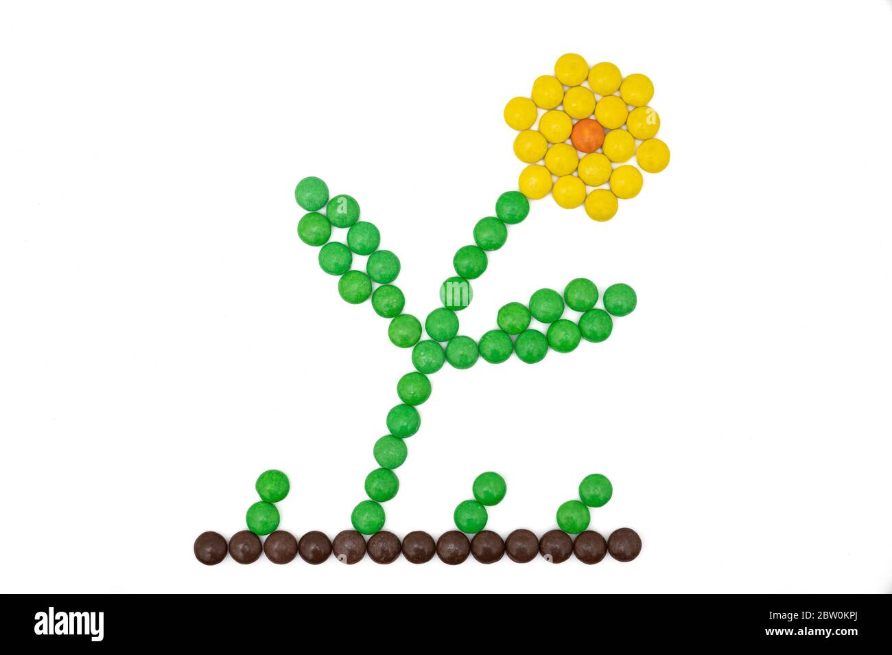Flower shape made of colorful candies on white background Stock Photo ...
