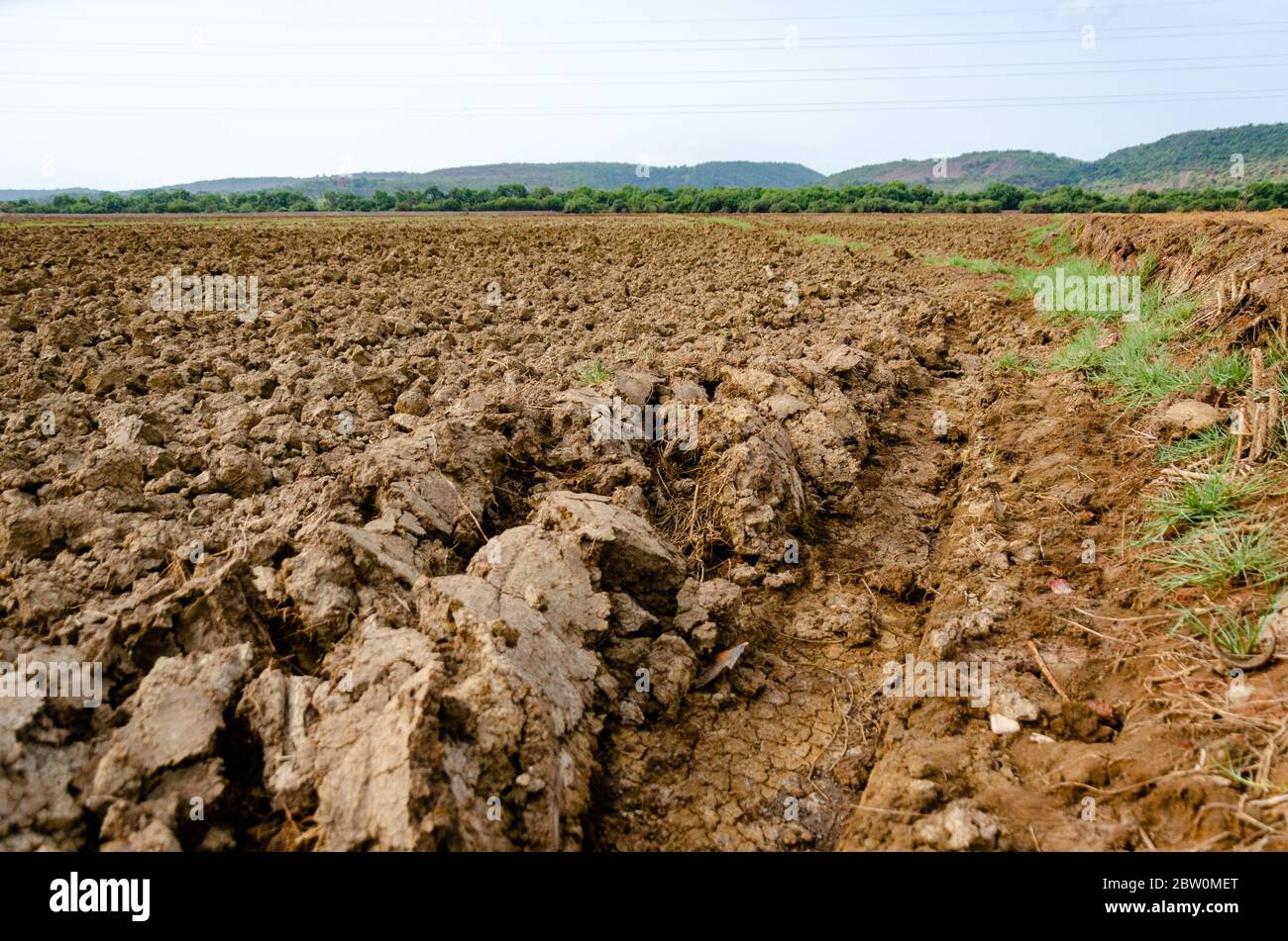 Piece of land ploughed and kept ready for cultivation for the upcoming ...