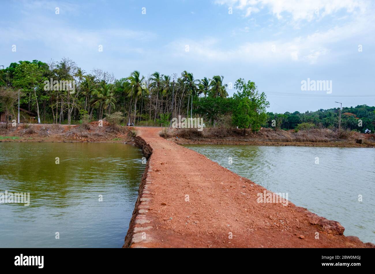 Scenery view goa backwaters hi-res stock photography and images - Alamy