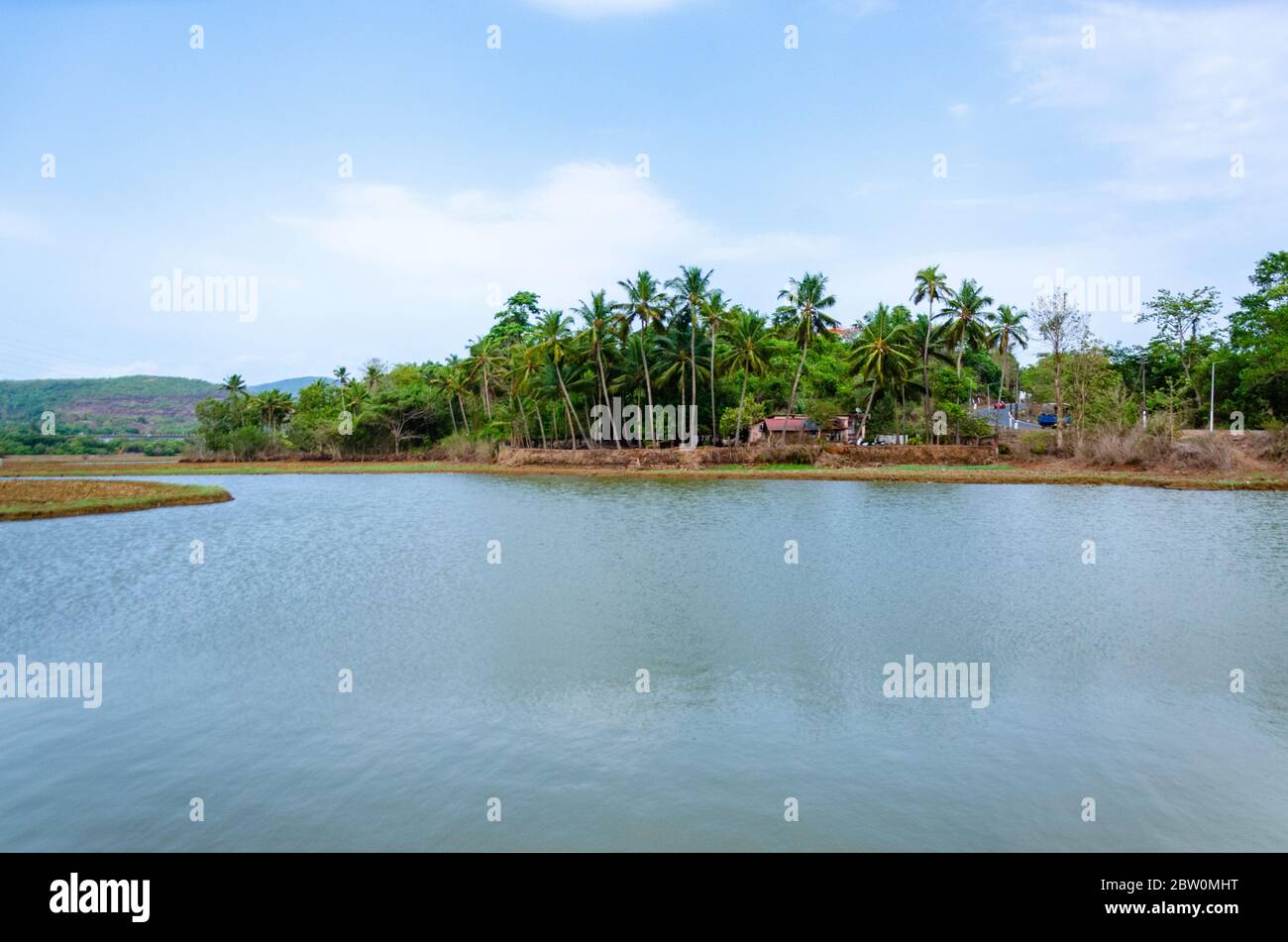 Backwaters of goa scenic view hi-res stock photography and images - Alamy