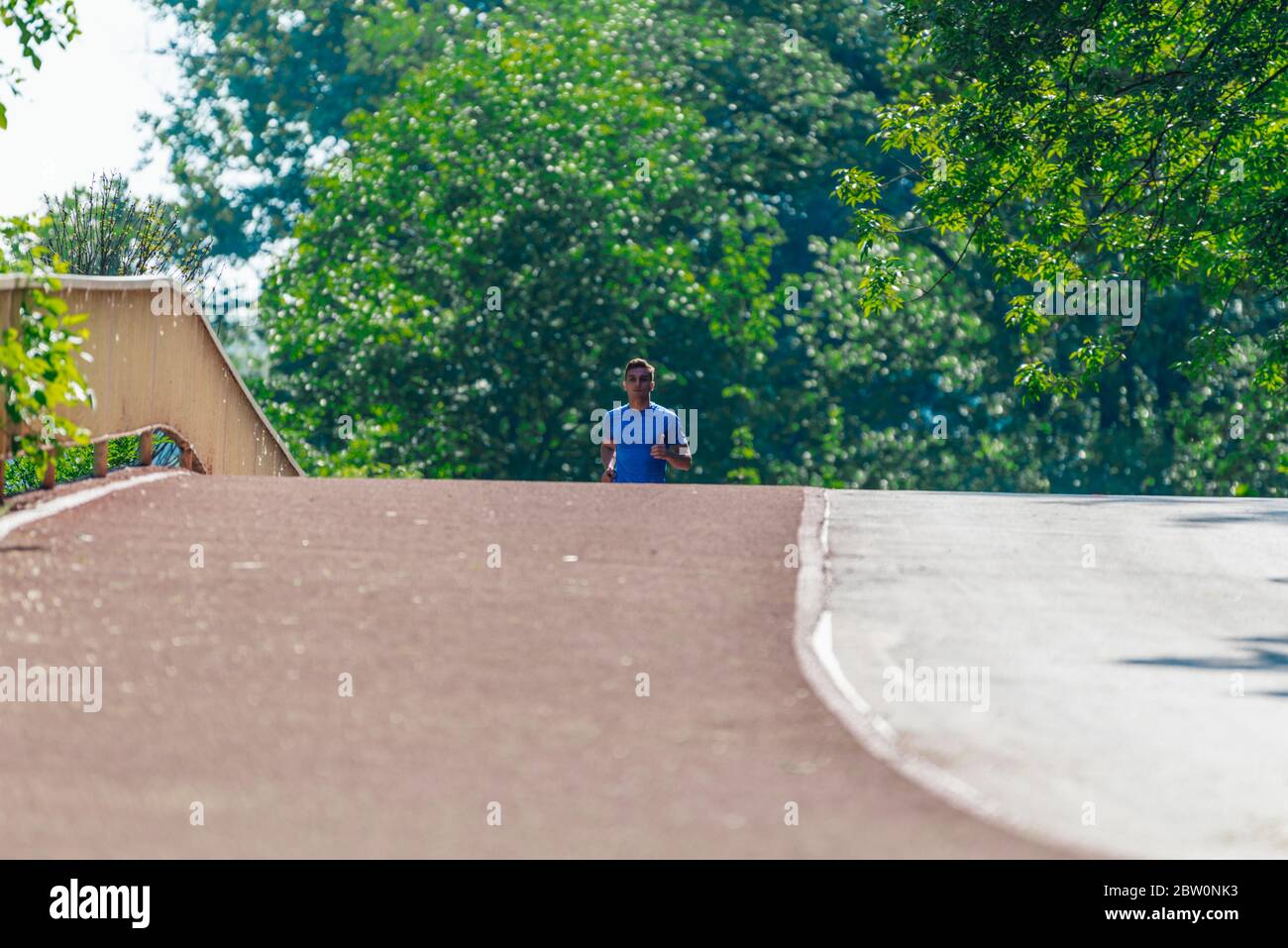 Athletic young man running on the race track in a sports park Stock ...