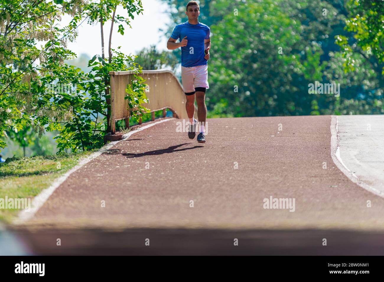 Two athlete jogging forest hi-res stock photography and images - Alamy