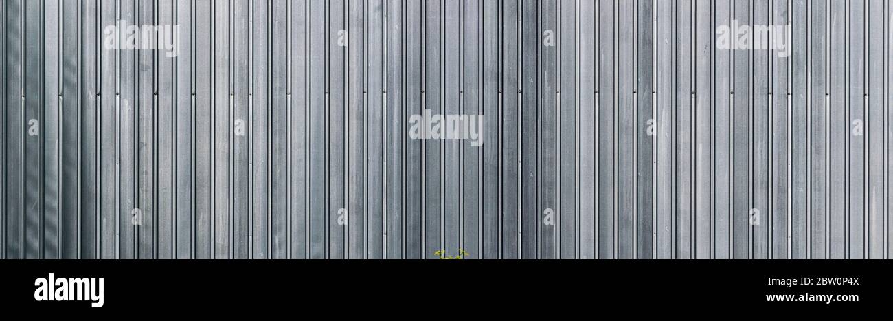 panoramic view of profiled sheet metal wall. Gray metal texture surface ...