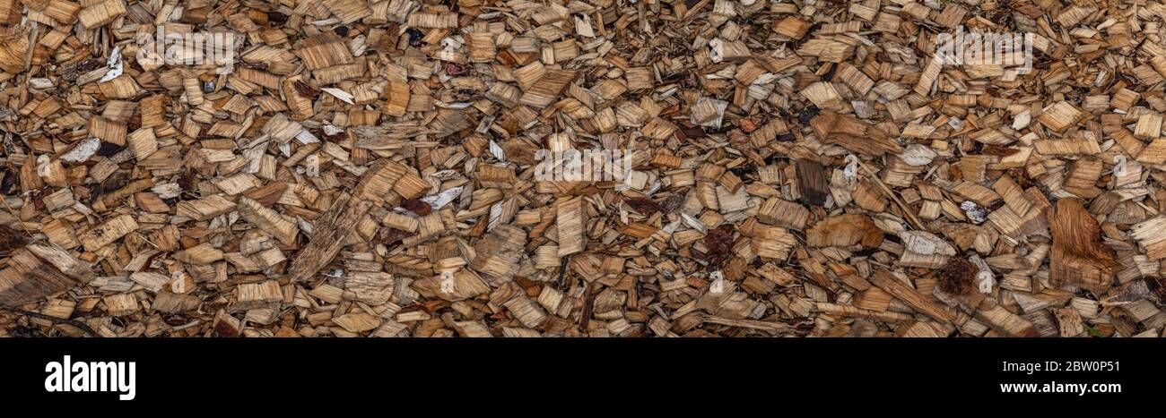 Carpentry waste hi-res stock photography and images - Alamy