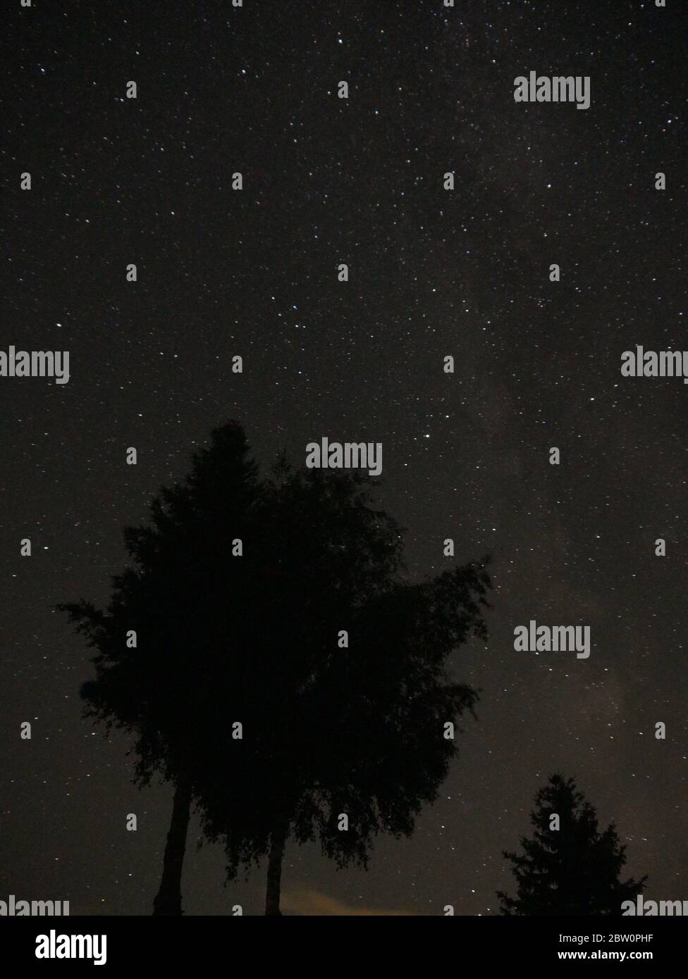 A tree in front of the stars Stock Photo - Alamy