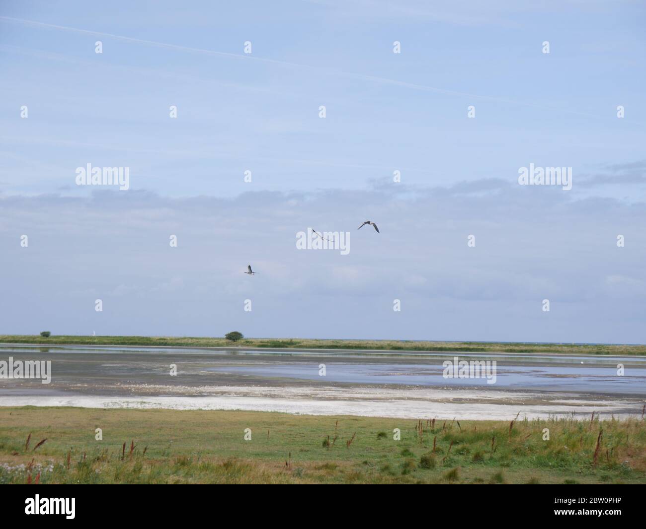 Birds flying above a beautiful scenery Stock Photo - Alamy