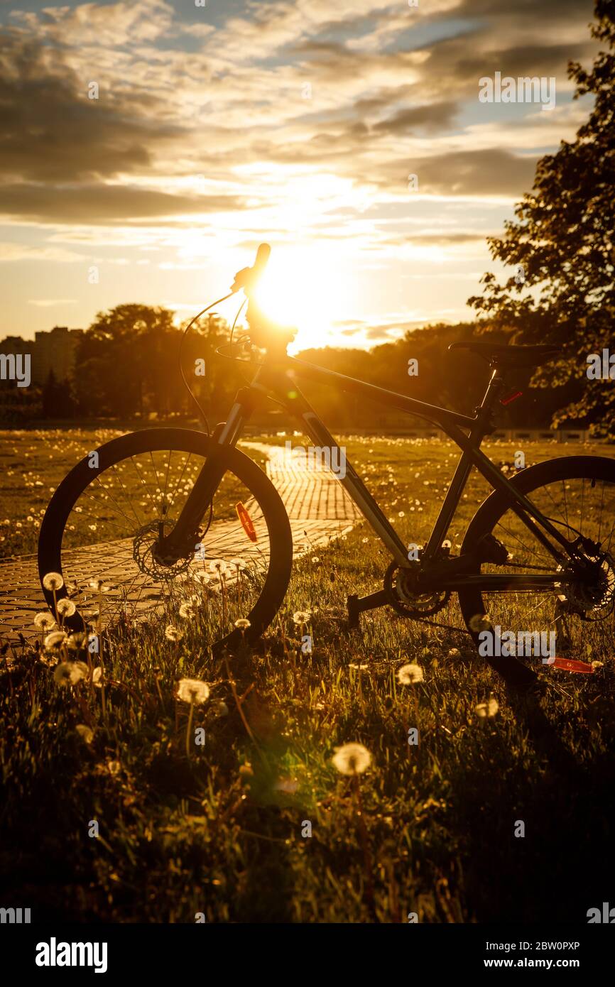 Boy in field bicycle sunset hi-res stock photography and images - Alamy