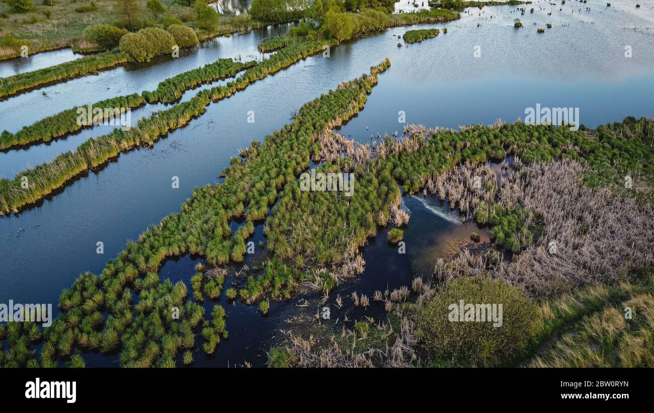 Beautiful aerial view on small rural rivers and forest trees from above ...