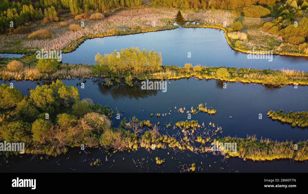 Beautiful aerial view on small rural rivers and forest trees from above ...