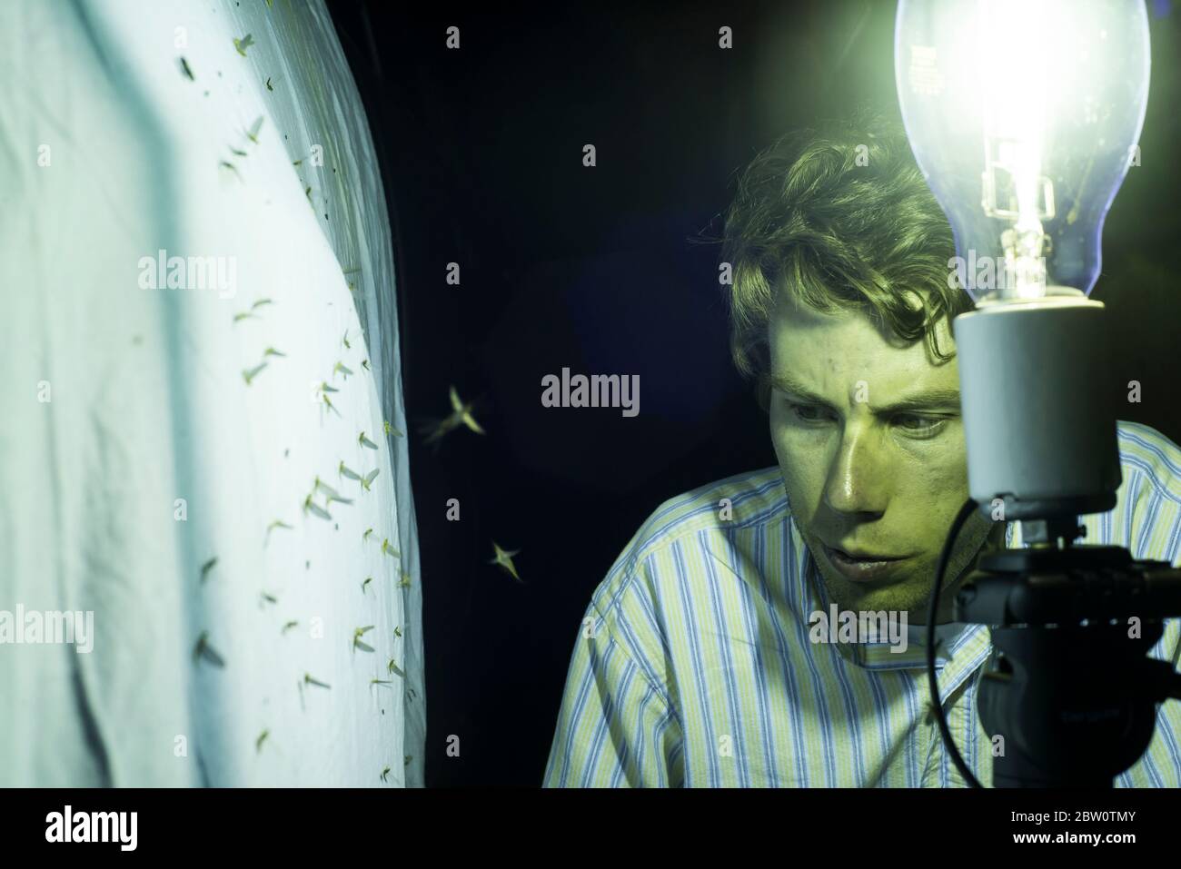 Trout catching insect hi-res stock photography and images - Alamy