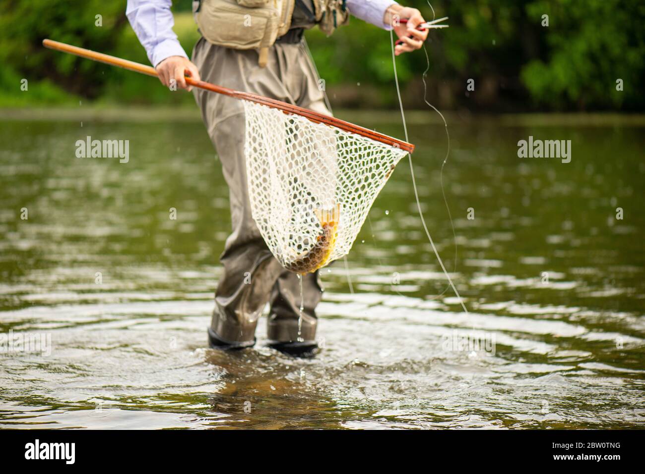 Trout catching insect hi-res stock photography and images - Alamy