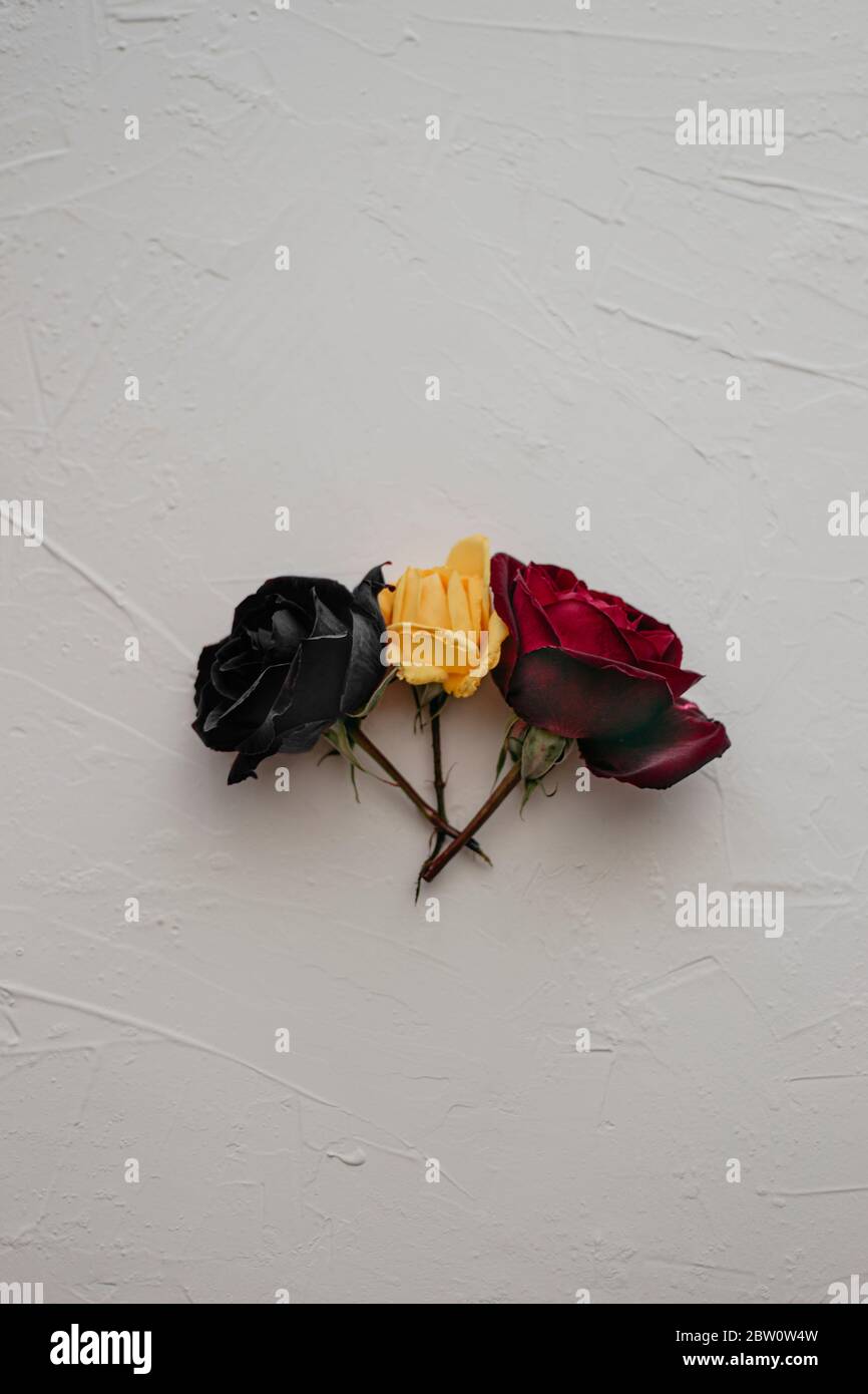 Belgian spring hi-res stock photography and images - Alamy