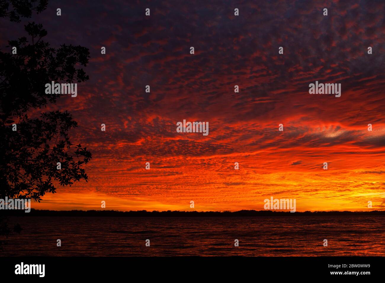 Beautiful sky golden hour on hi-res stock photography and images - Alamy