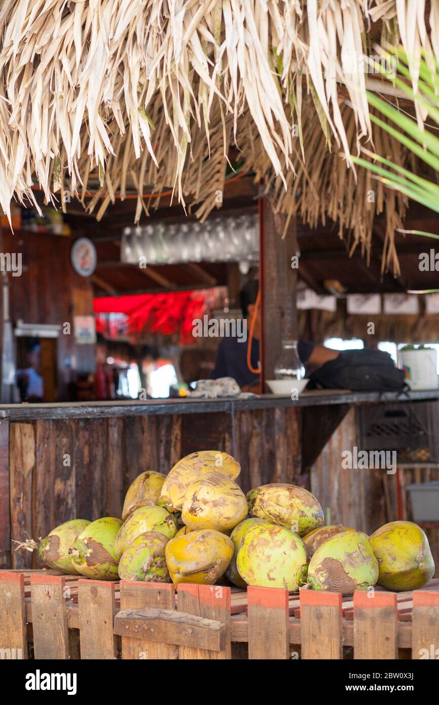 Green coconuts on sale in a mexican market Stock Photo - Alamy