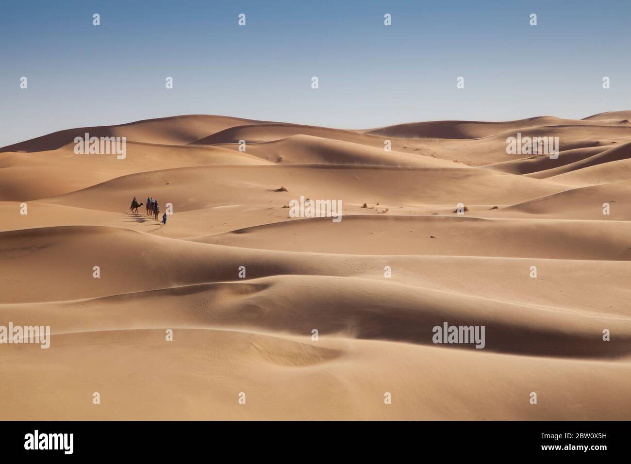 Caravan in the Sahara desert, Morocco Stock Photo - Alamy