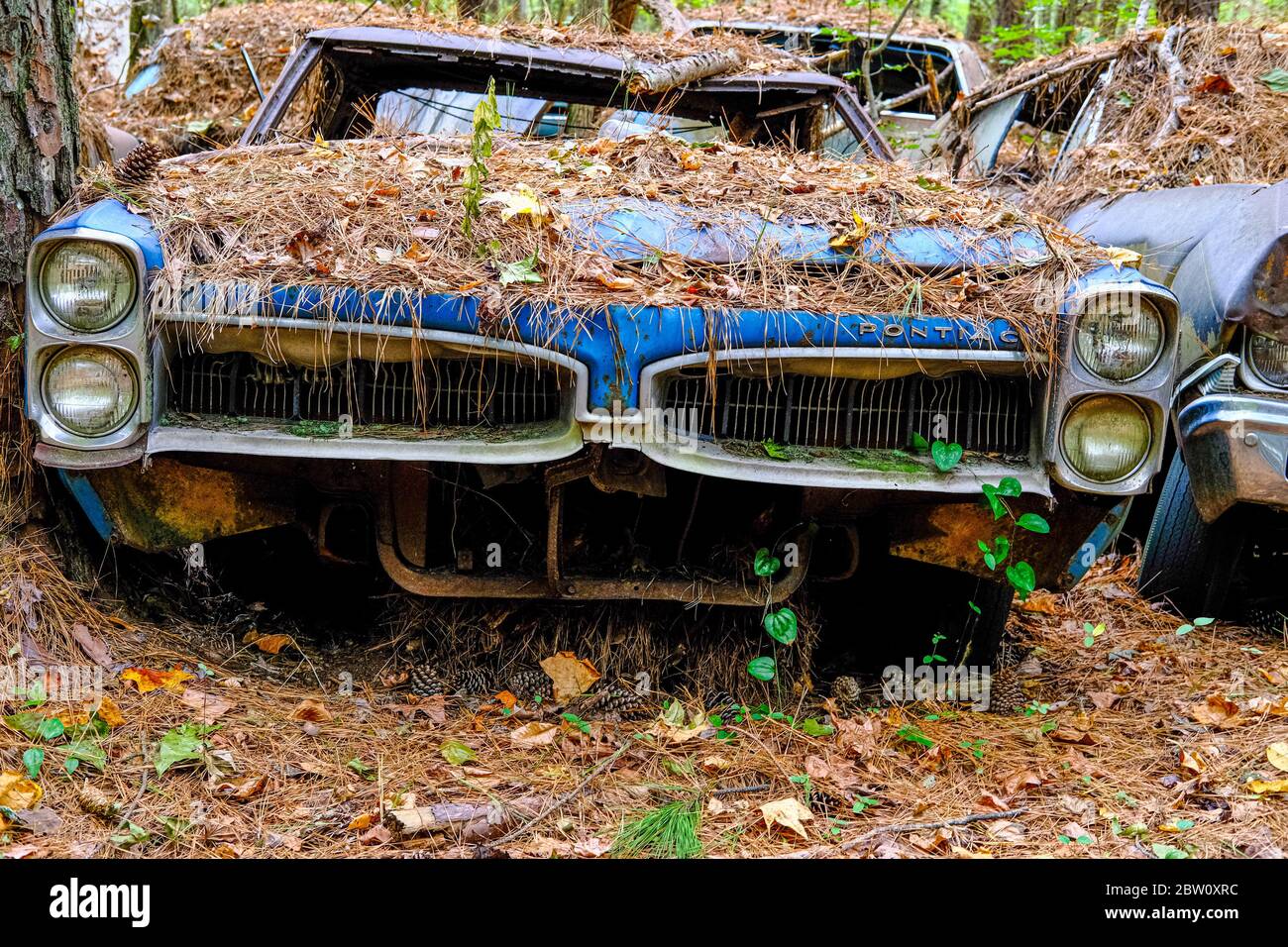 Old rusty pontiac hi-res stock photography and images - Alamy