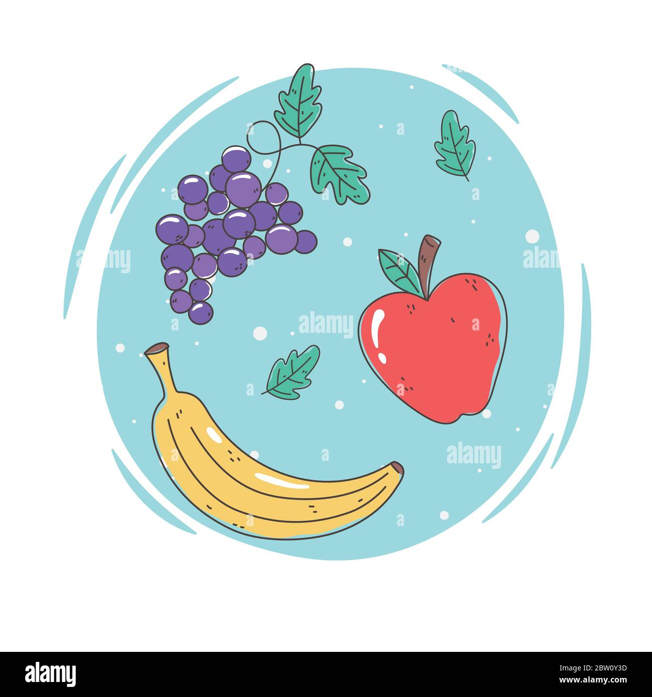 healthy food nutrition diet fresh fruits banana apple and grapes vector ...